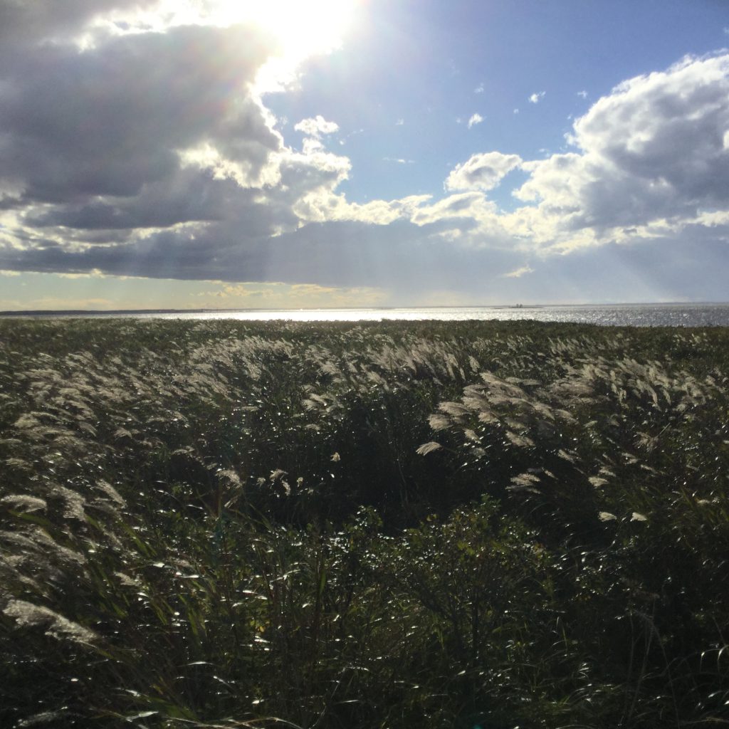 %e3%82%a2%e3%82%a4%e3%82%ad%e3%83%a3%e3%83%83%e3%83%81 | ゲネプロ[離島・へき地に医療 ...